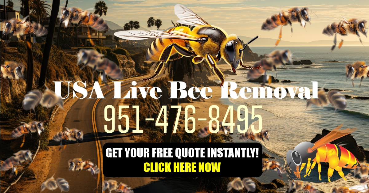 Expert Wasp, Bees and Yellow Jacket Removal - USA Live Bee Removal