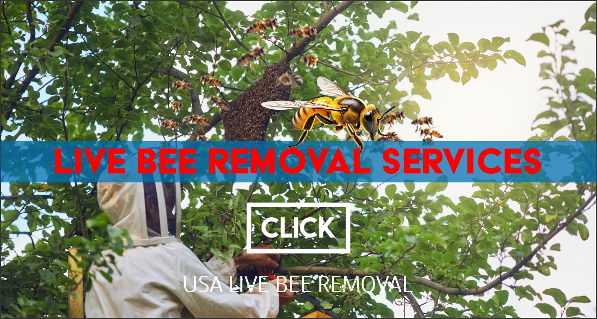 Live Bee Removal Services - USA Live Bee Removal
